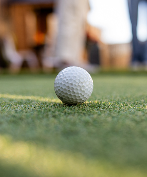 Artificial Putting GreensTurf - Waterloo Turf Palm Beach