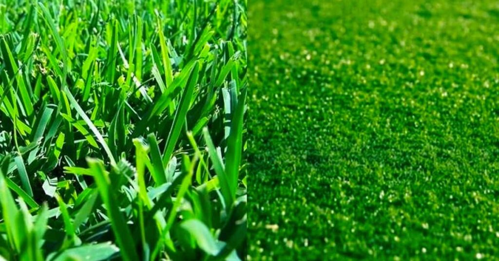 Save Water With Artificial Turf | Waterloo Turf
